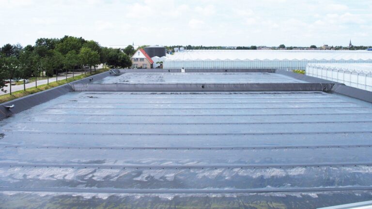 Alligator floating cover | Albers Alligator
